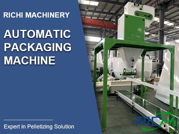 DCS Series Automatic Packing Scale,Automatic Bagging System | RICHI