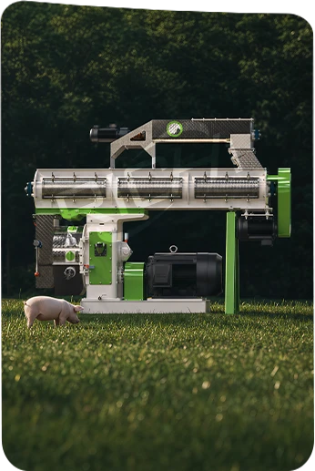 RICHI Poultry Feed Pellet Machine - Industrial Pellet Mills Solutions